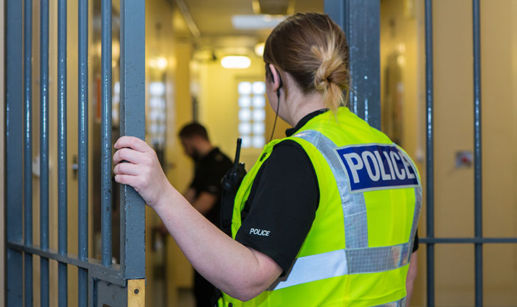 Countdown to National Custody Awards